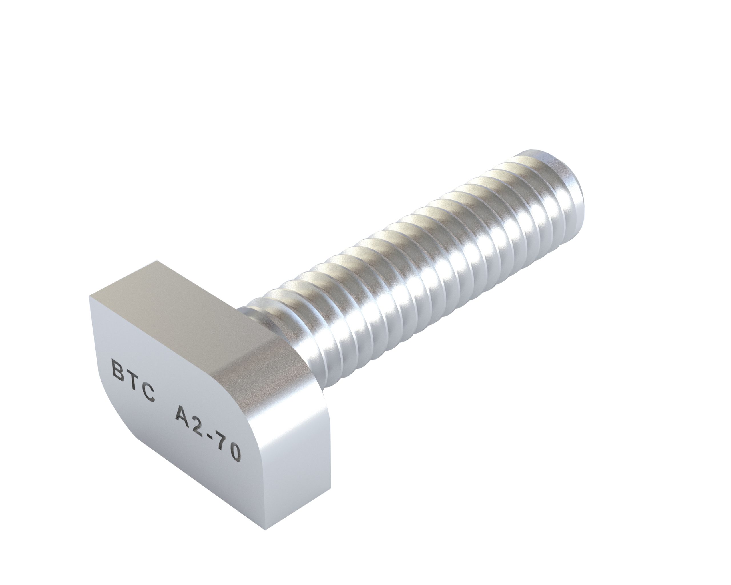 Stainless Steel 304 T-Bolt 28/15 Type Hammer Bolt 20/12 Type