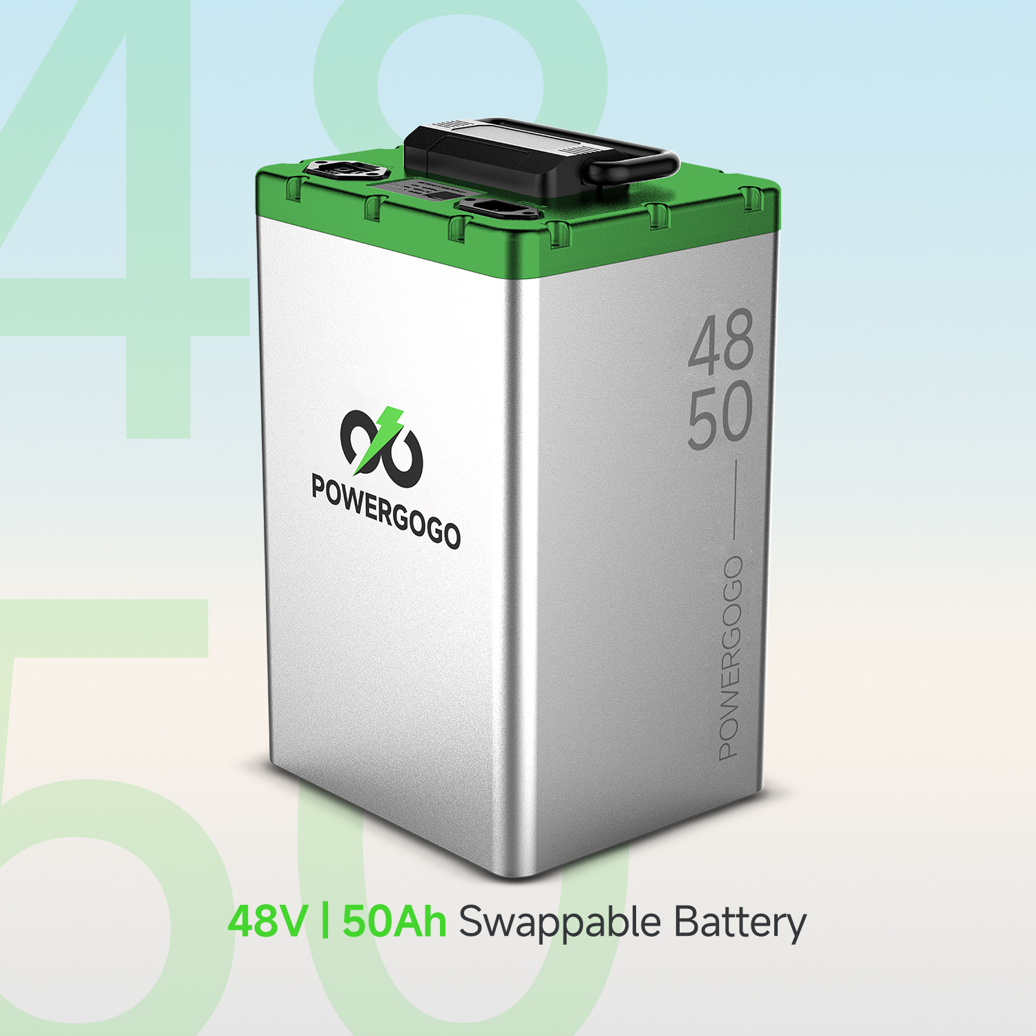 48 V 50Ah（LFP）Swappable Battery Power GoGo